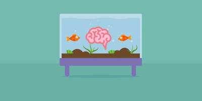 blog-fish-tank-animated-thumbnail - Canity